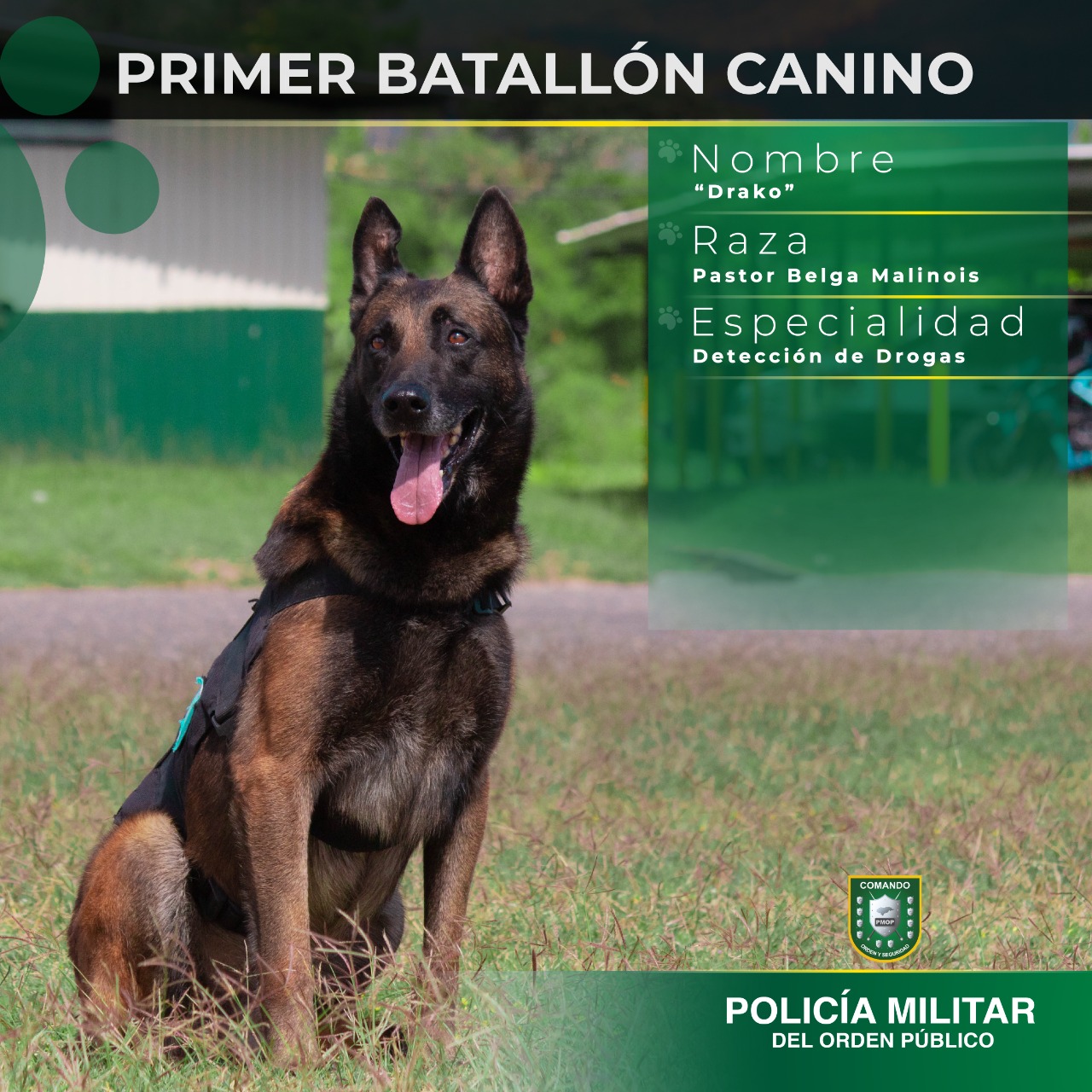 #PMOP #FFAA archivos - FUERZAS ARMADAS DE HONDURAS